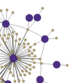 Matthew Seto Portfolio