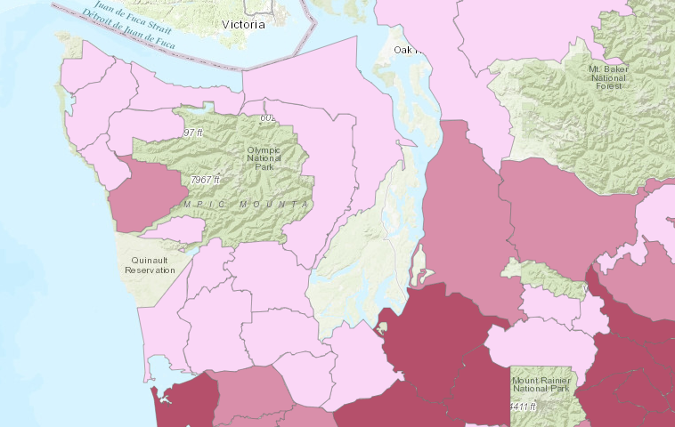 Matthew Seto Portfolio